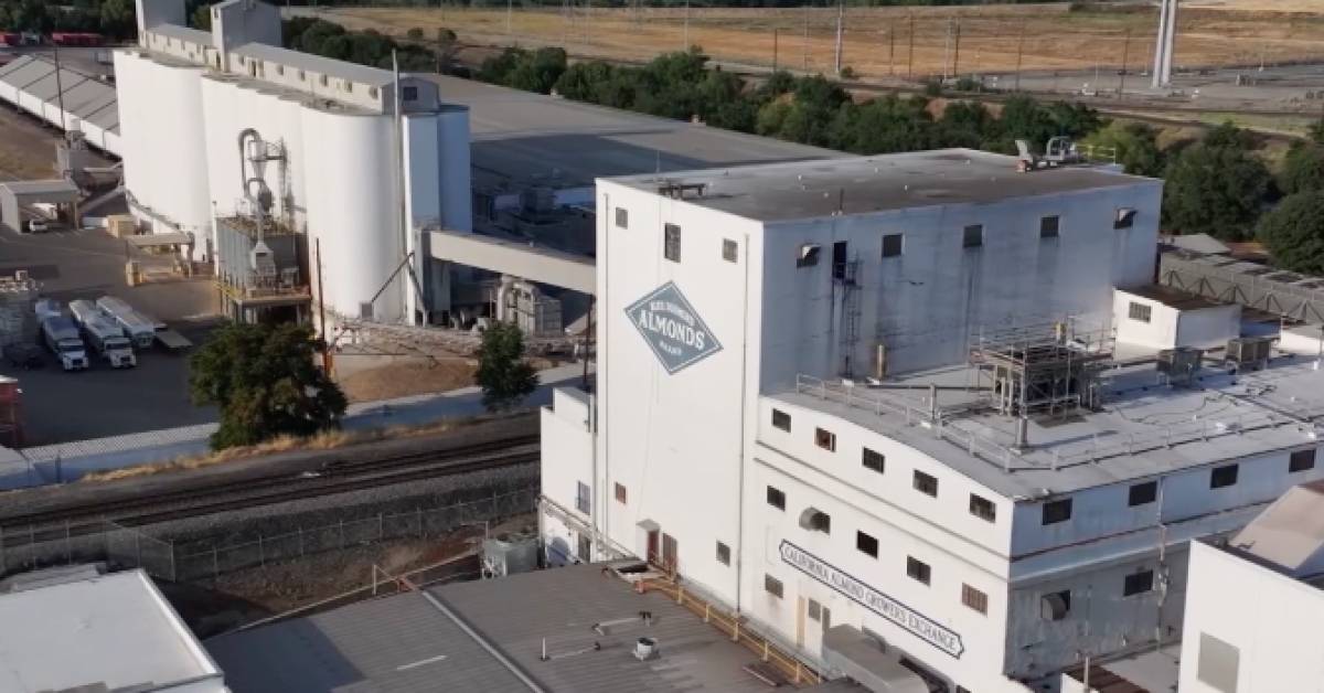 Roughly 600 Employees Being Laid Off in Blue Diamond Growers Sacramento ...