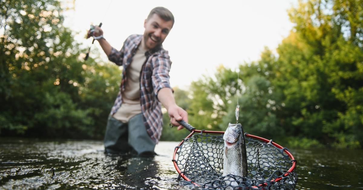 What is 'career catfishing' and how to avoid it