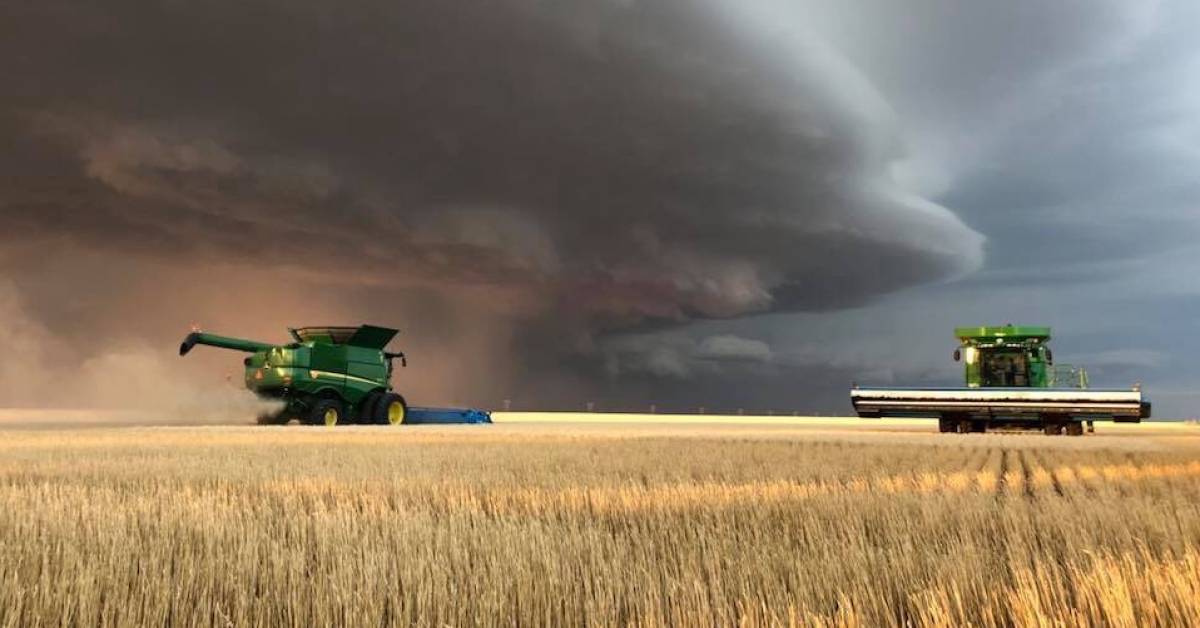 Investing in Farmland Can Help Your Portfolio Weather a Crisis