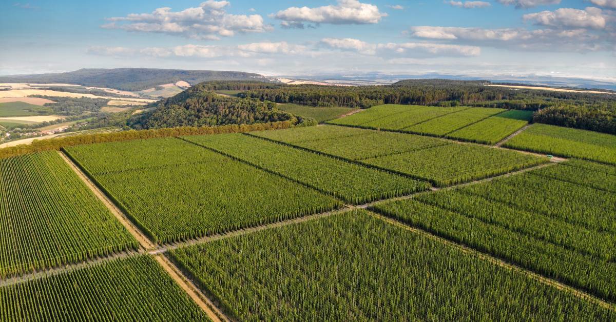 Why right now is the best time to buy farmland