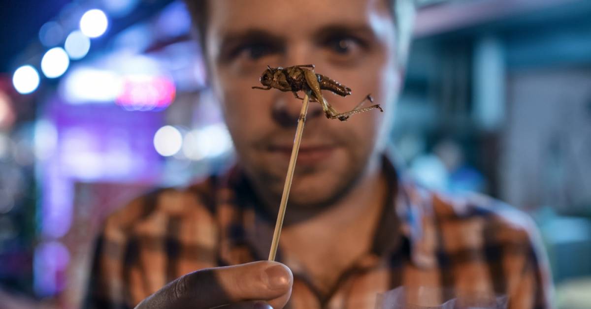 The EU Approves Insects for Human Consumption, Citing Plenty of ...