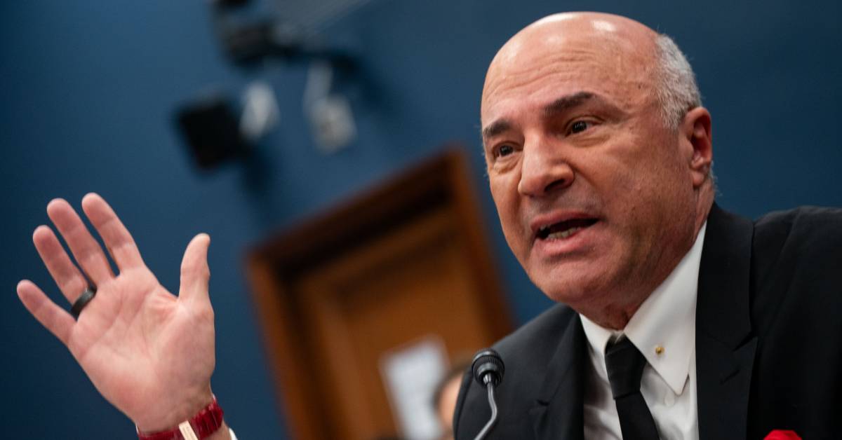 Shark Tank's Kevin O'Leary warned increasing taxes for the wealthy will ...