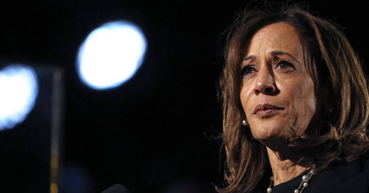 DNC official blasts Harris campaign as ‘epic loss'