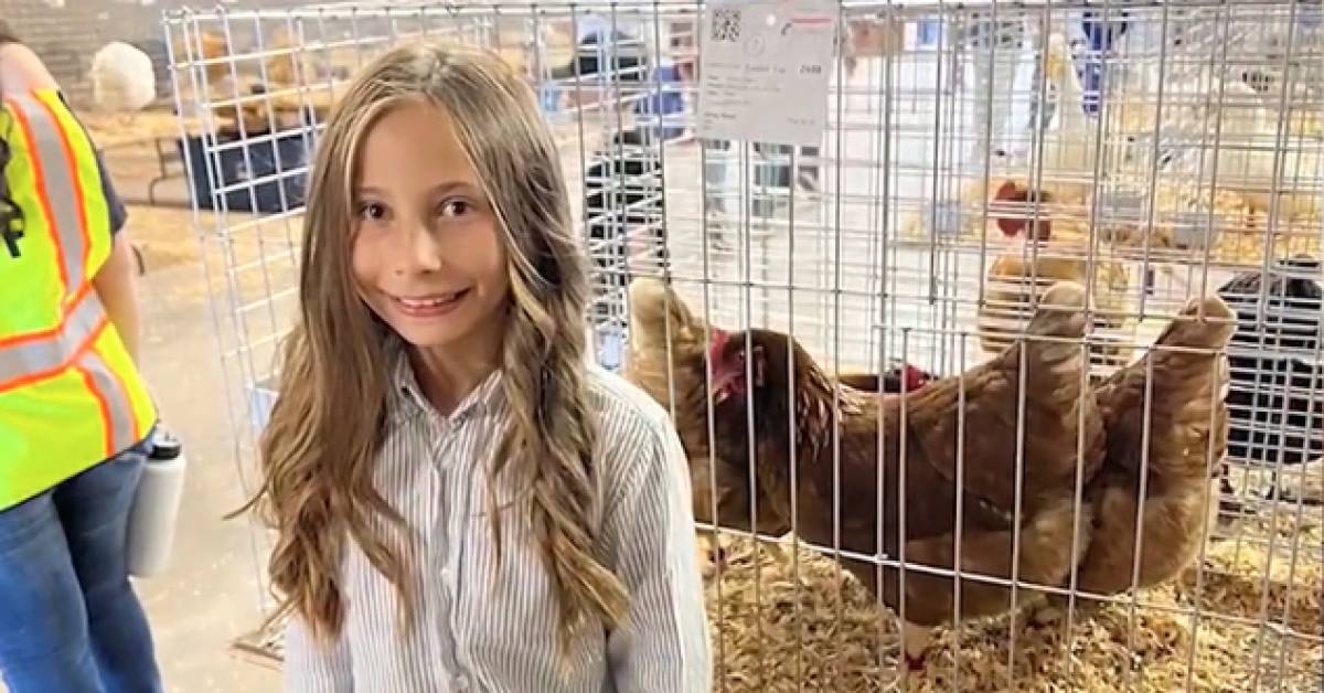This 10-year-old Arizona girl sold her prize chickens for $2,100 — then ...