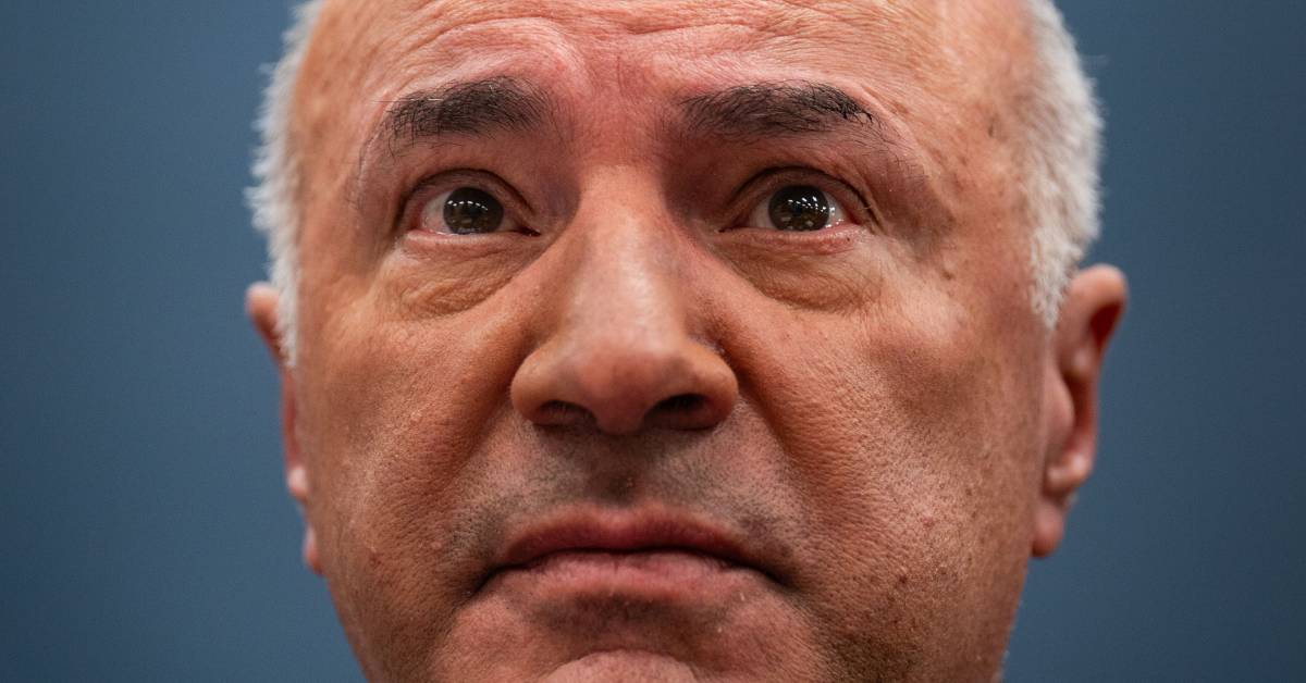 O'Leary and McCourt have big plans for TikTok