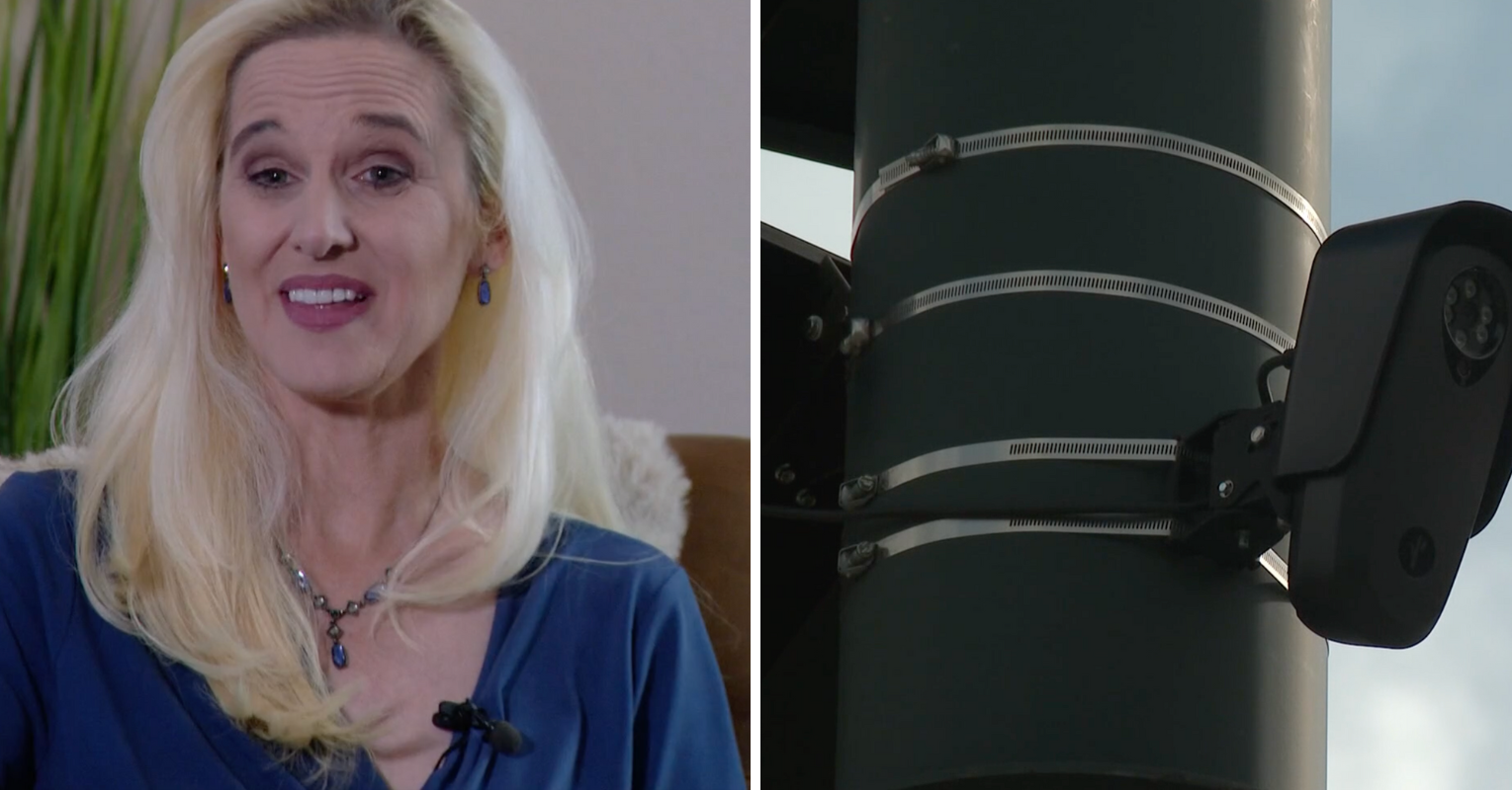 Flock Cameras Falsely Implicate Woman In A Theft